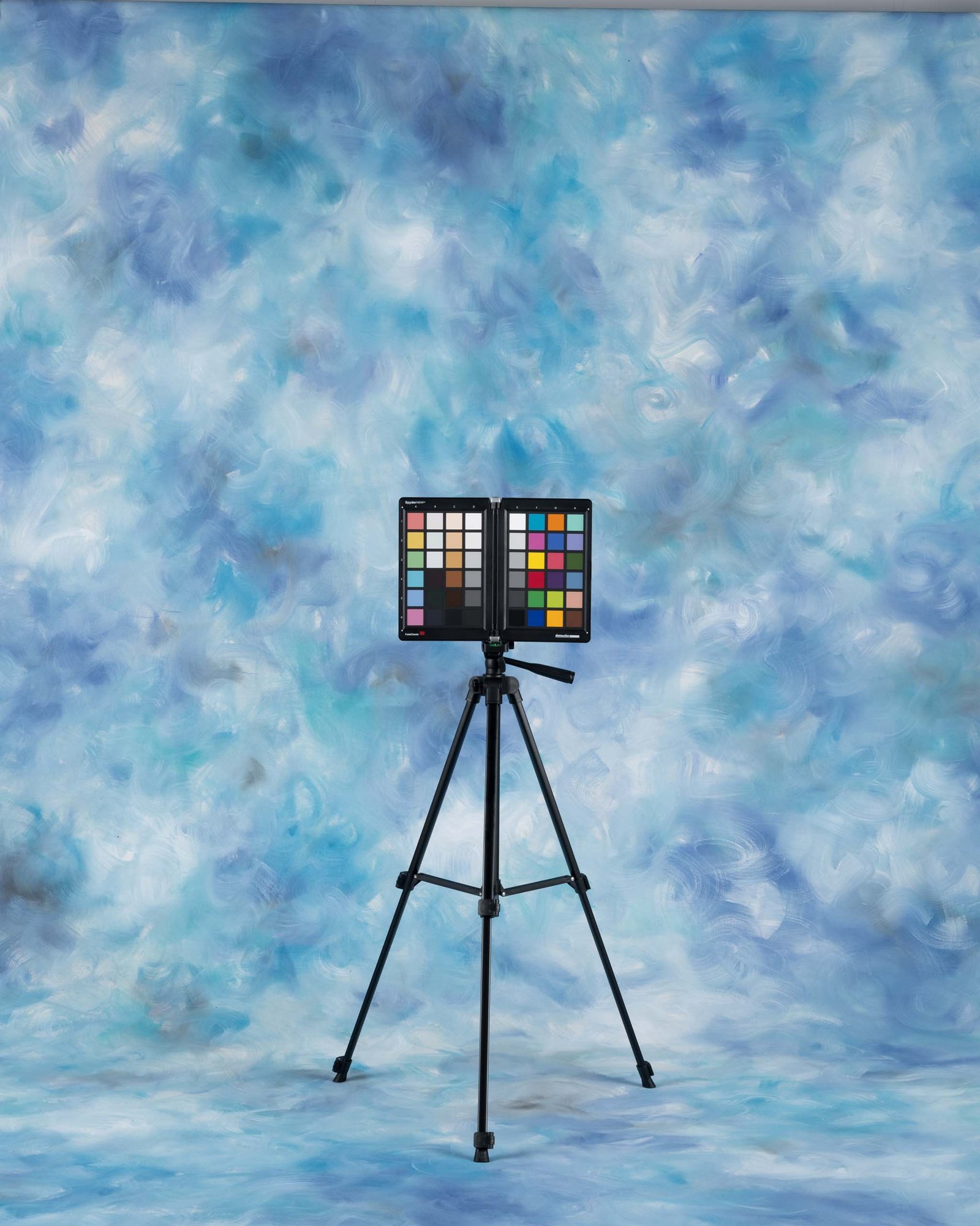 BackdropsBazaar Impressionist Premium Art Studio Background